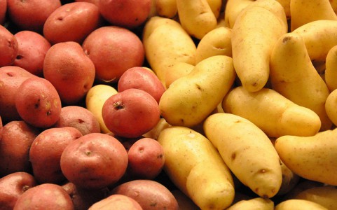 The true cost of the cheap potato – geopavlos.com